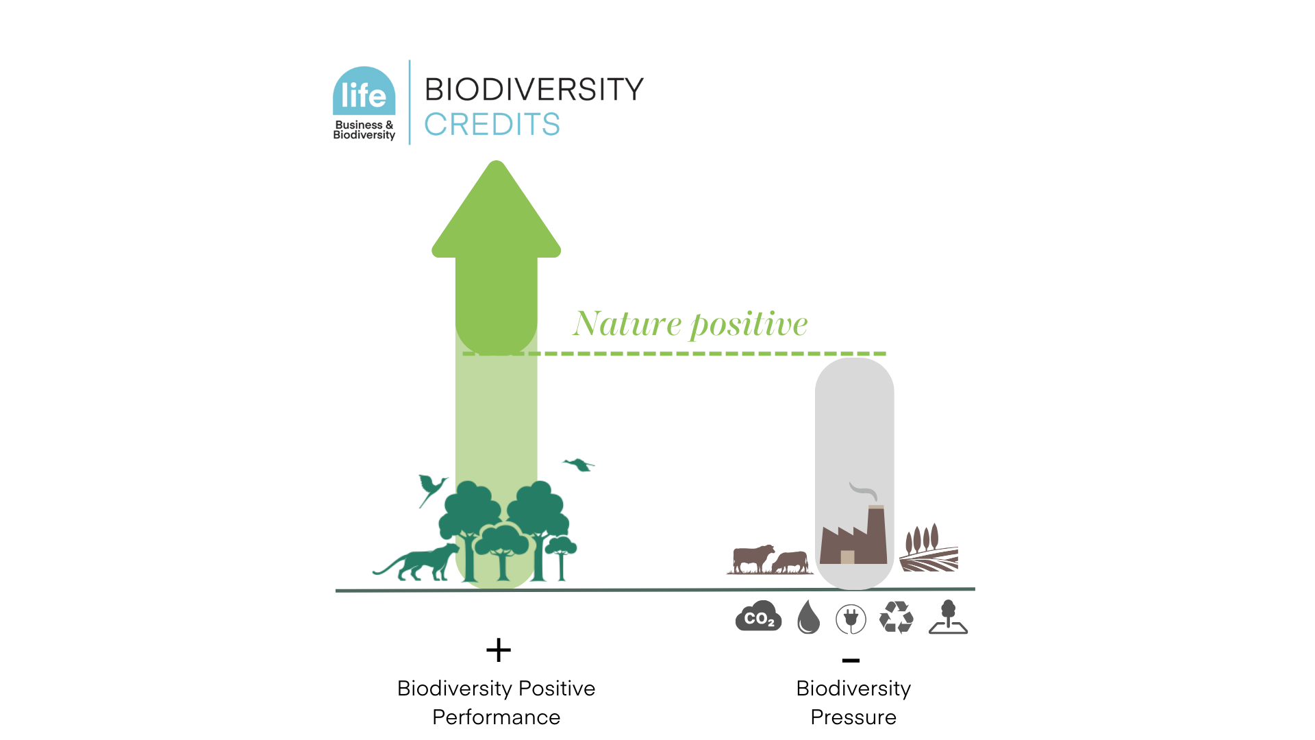 LIFE Biodiversity Credits – Instituto LIFE